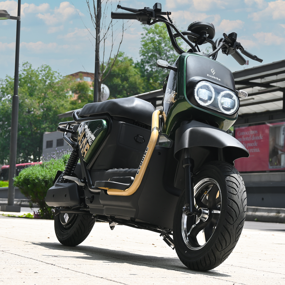 Bicicleta Eléctrica POLAR – Evobike