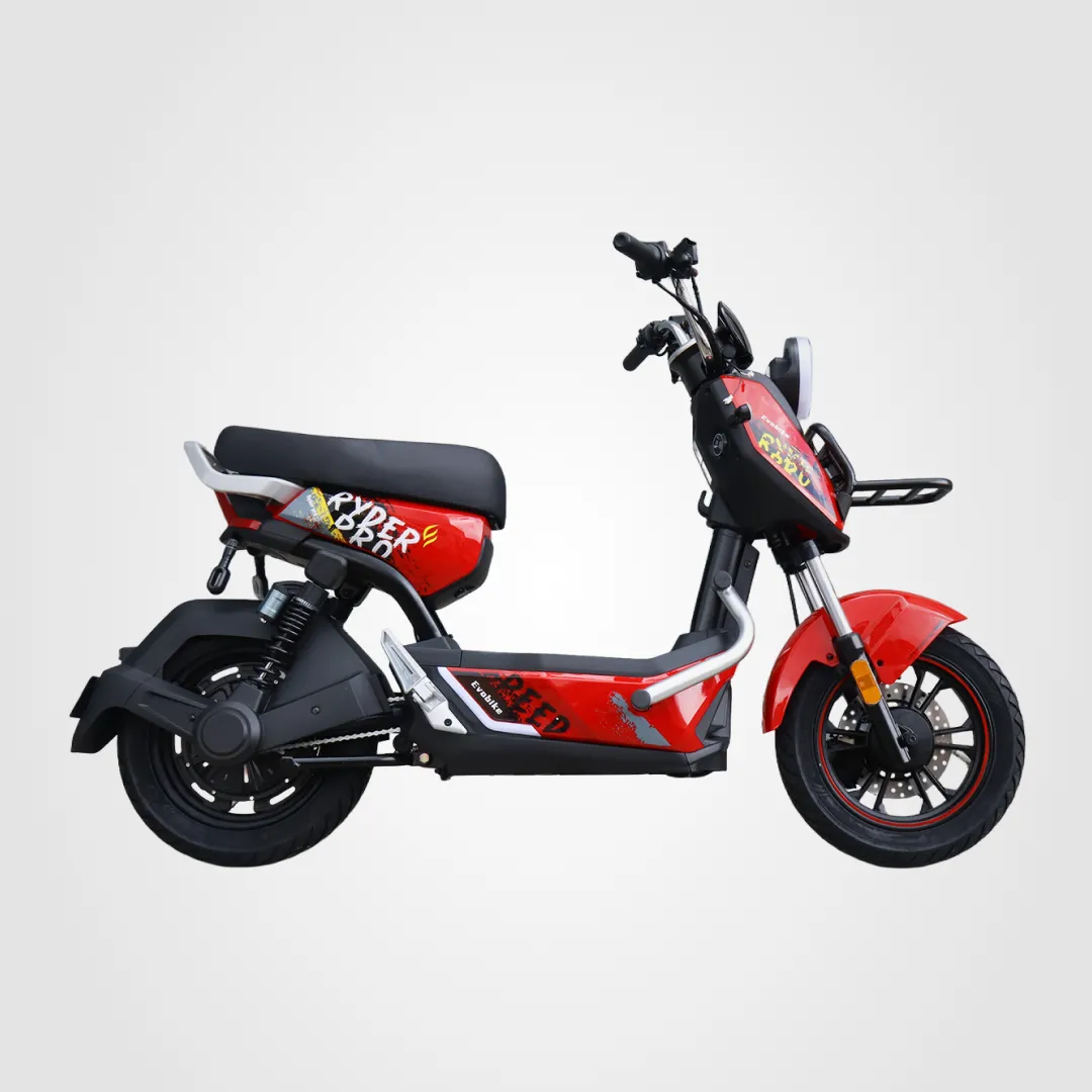Bicicleta eléctrica Ryder Pro – Evobike